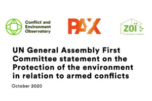 UNGA First Committee statement on the Protection of the environment in ...