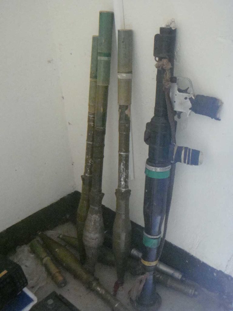 Weapon proliferation challenges biodiversity protection in South Sudan ...