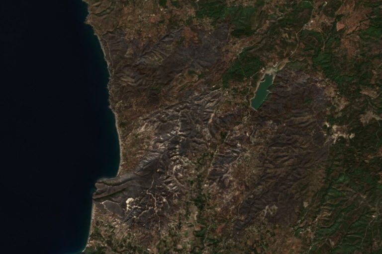 Report: Deforestation in conflict areas in 2020 - CEOBS