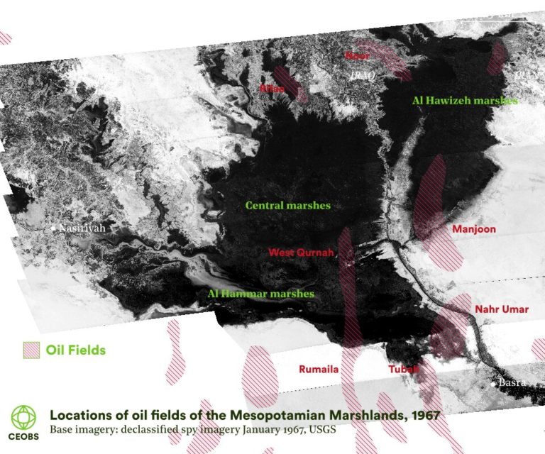 Report: The past, present and future of the Mesopotamian marshes - CEOBS
