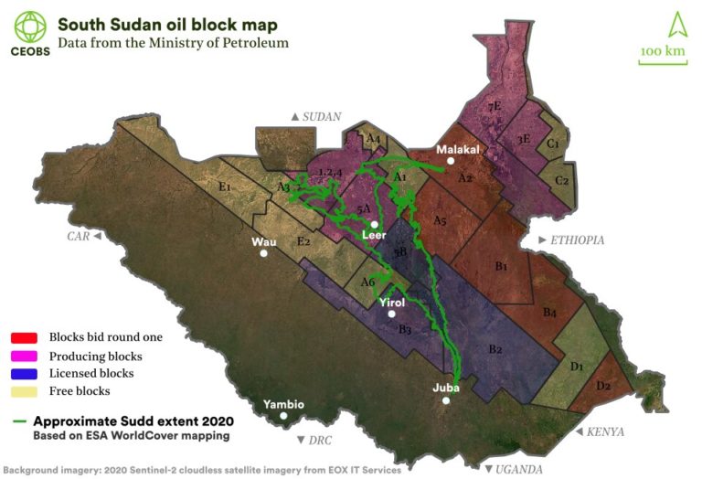 Report: Is South Sudan's Sudd wetland at a fork in the road? - CEOBS