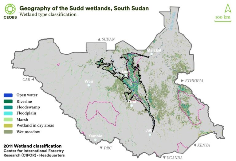 Report: Is South Sudan's Sudd wetland at a fork in the road? - CEOBS